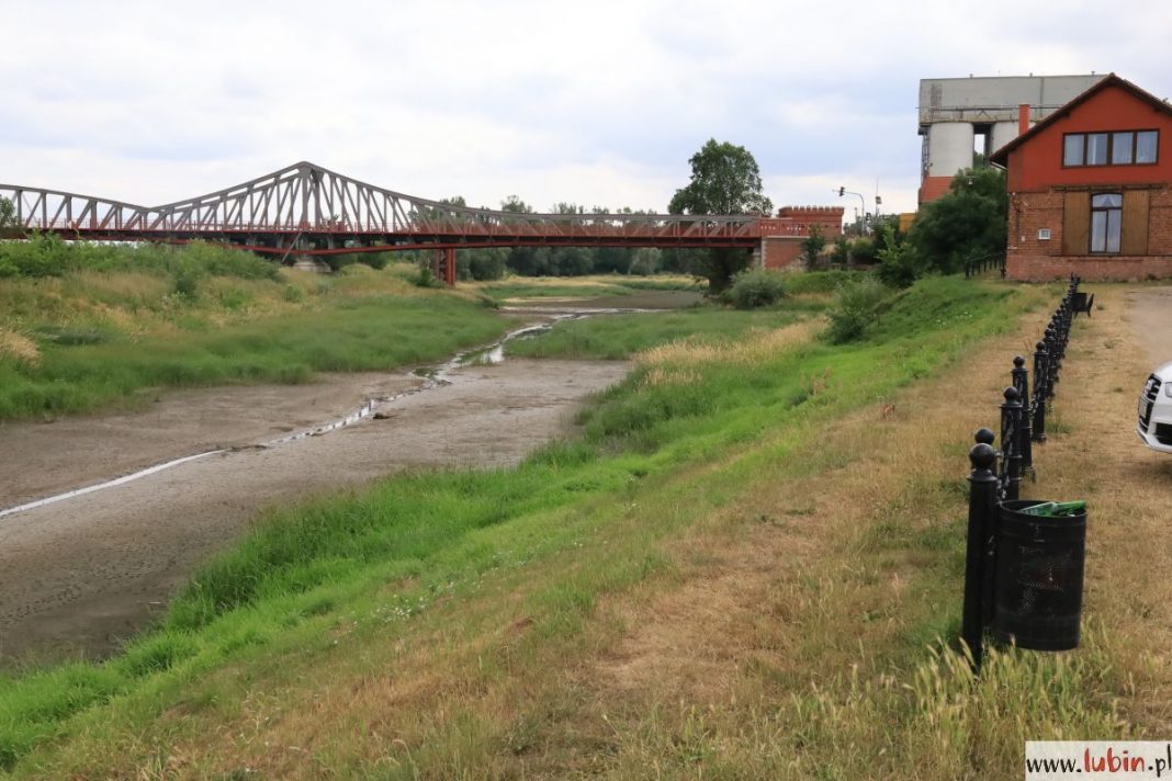 Odra wysycha. Krytyczny stan rzeki w Ścinawie | Lubin - Portal Miasta