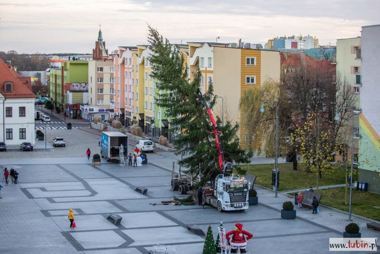 Rynek stroi się na święta – na początek 15-metrowa choinka | Lubin ...