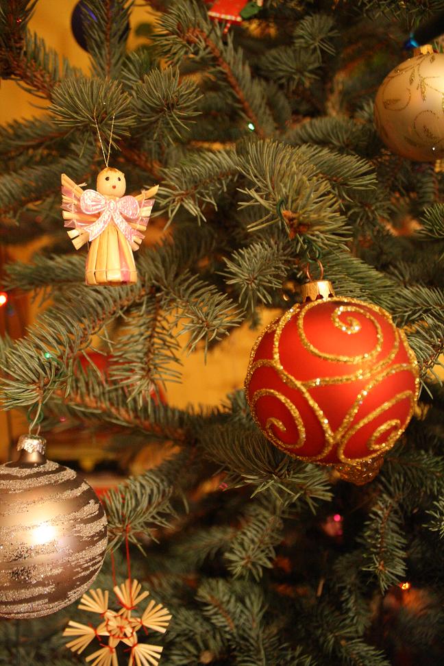 Skąd się wzięła choinka? | Lubin - Portal Miasta